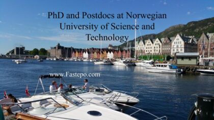 PhD and Postdocs at Norwegian University of Science and Technology